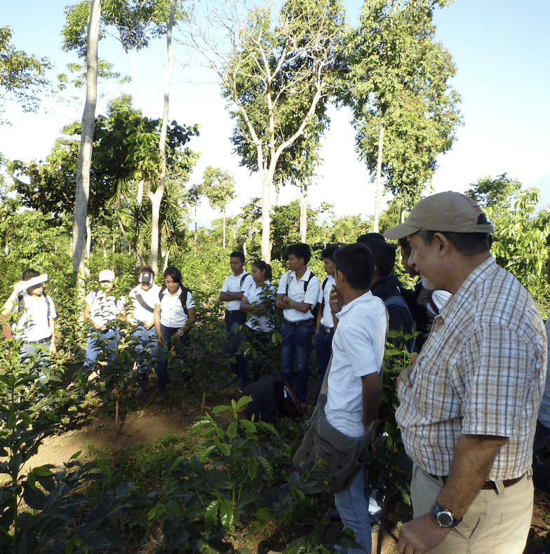 Lessons Learned from two EFICO FOUNDATION Flagship Projects